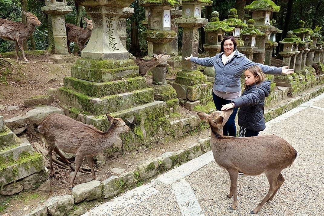 The Absolute Best Day Trips from Osaka | Not to be Missed!!