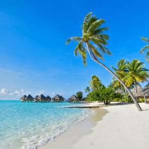 25 Hot Places to Go in January That Promise Endless Summer Vibes